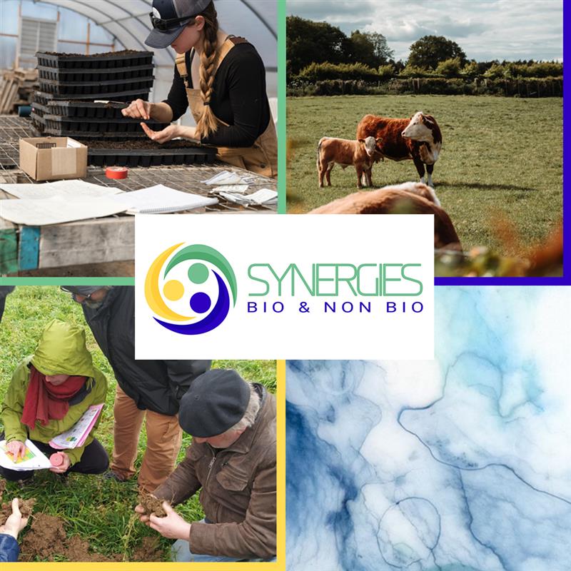 Le programme inter-instituts Synergies Bio & non Bio | acta